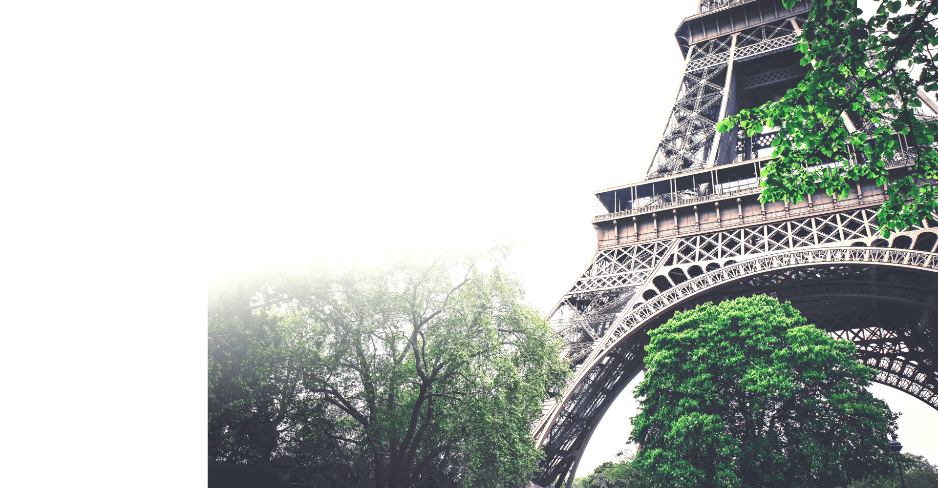 HomeHeroBG-1.png | Toli