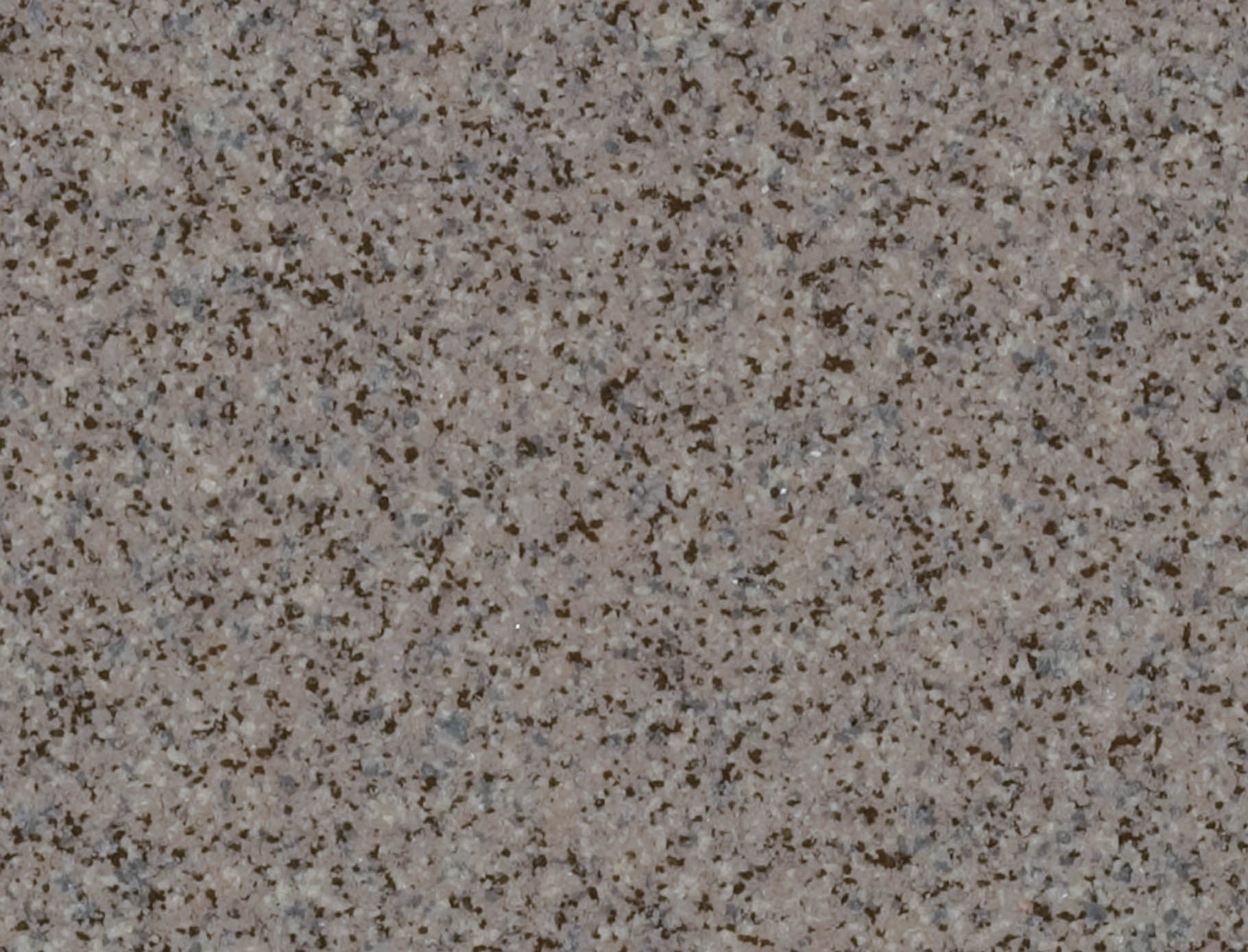 INV-4404 Truffle | Toli